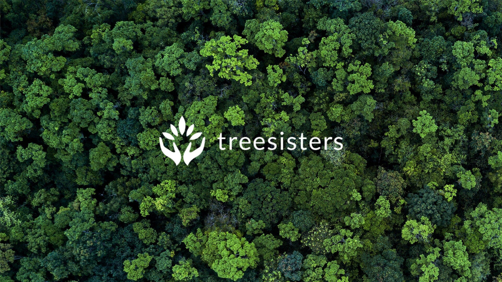 Supporting Global Reforestation & Women’s Empowerment with TreeSisters ...